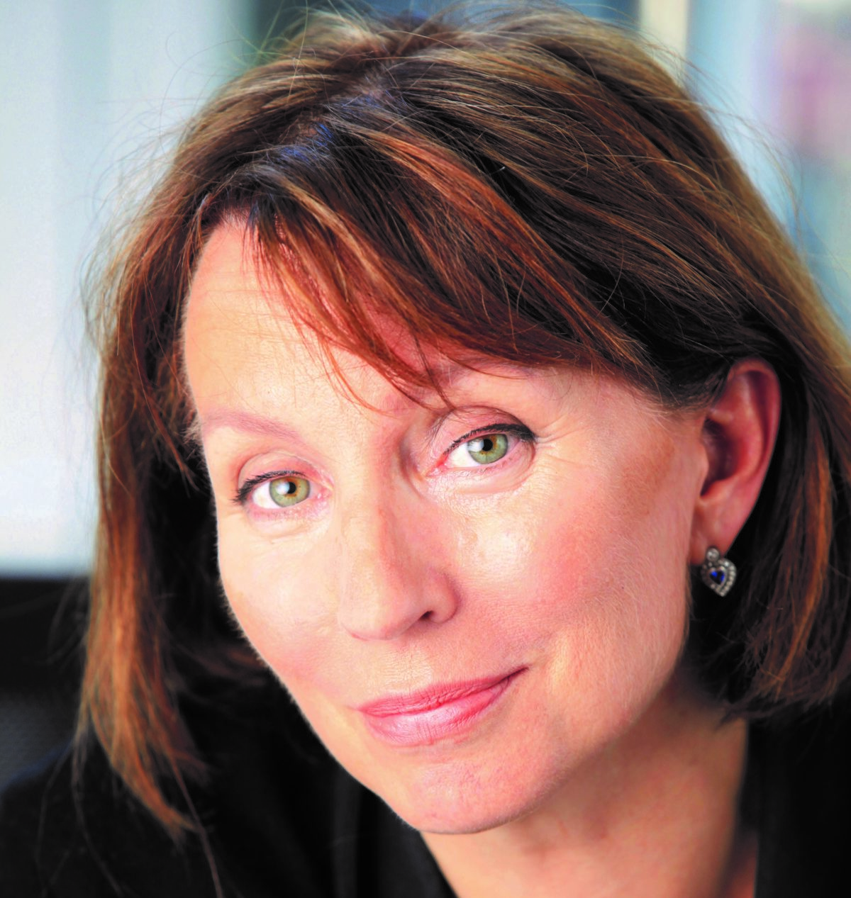 The Hedgehog Diaries - Susanna Lea Associates